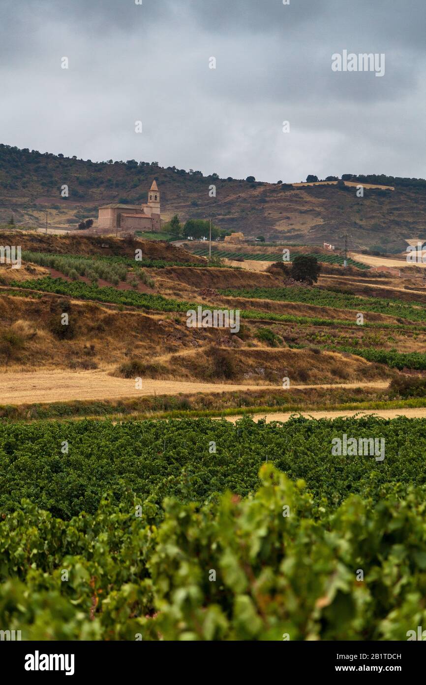 Rioja way of st james landscape hi-res stock photography and images - Alamy