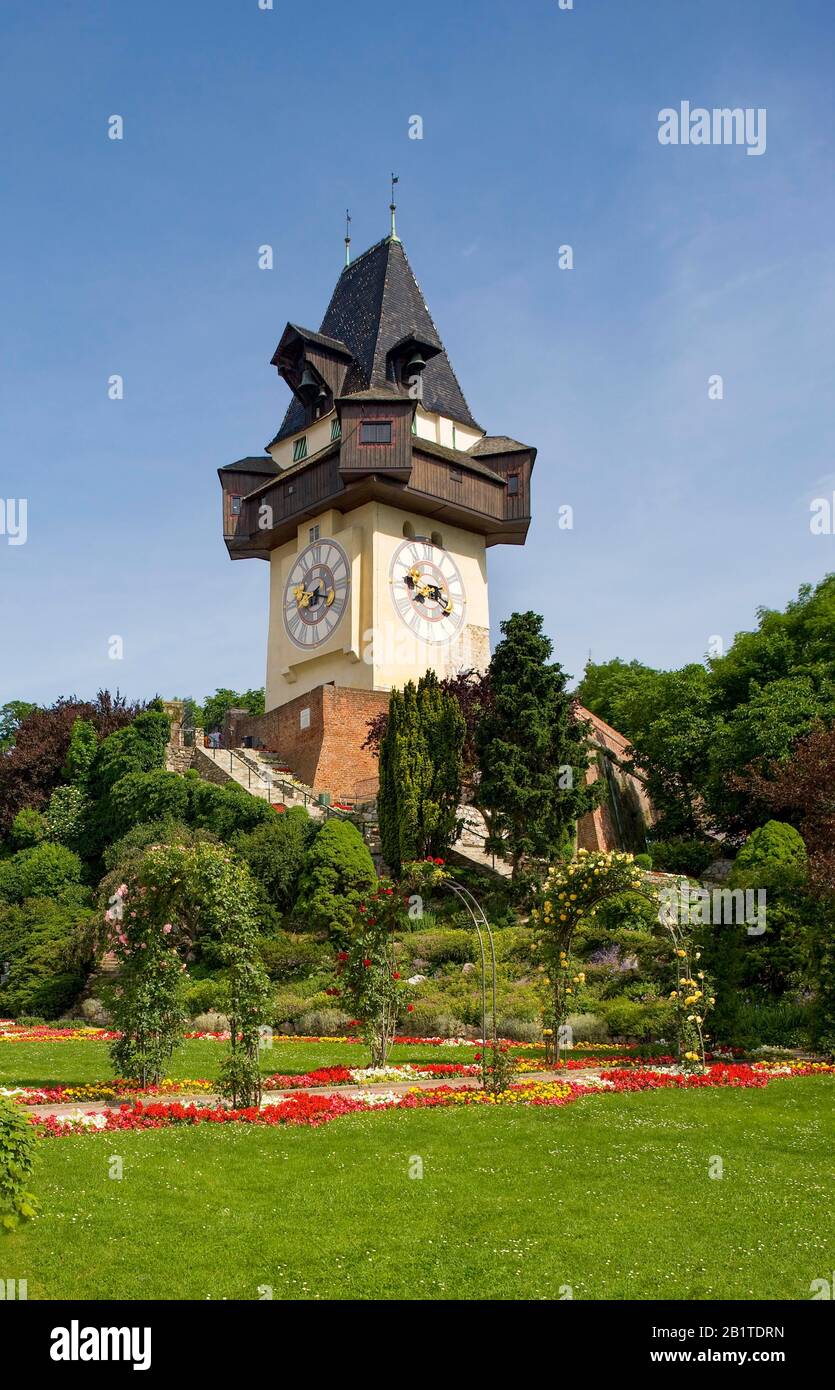 Rose garden on the Schlossberg with clock tower, Graz, Styria, Austria ...