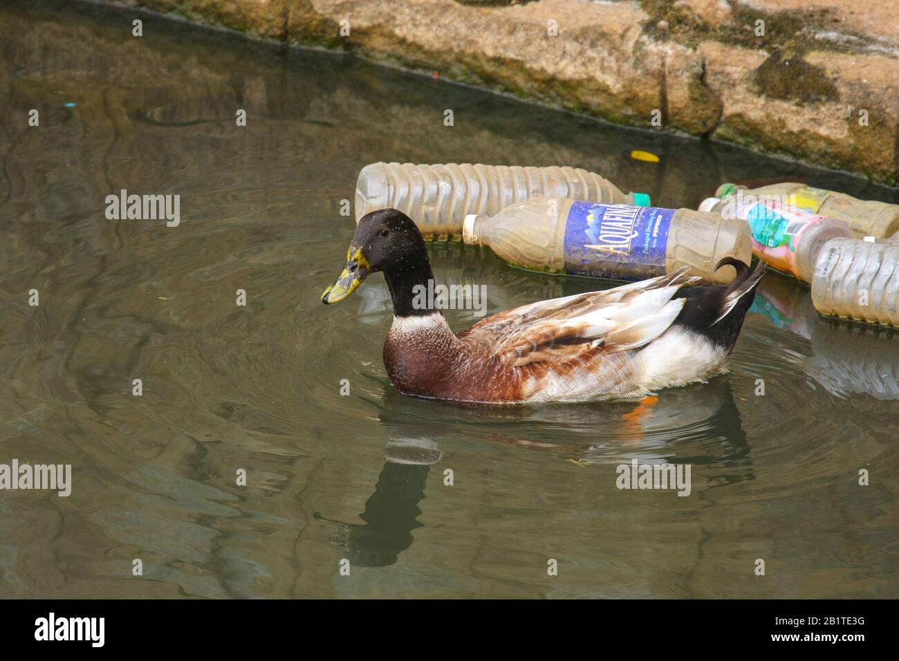 Plastic water pollution india hi-res stock photography and images - Alamy