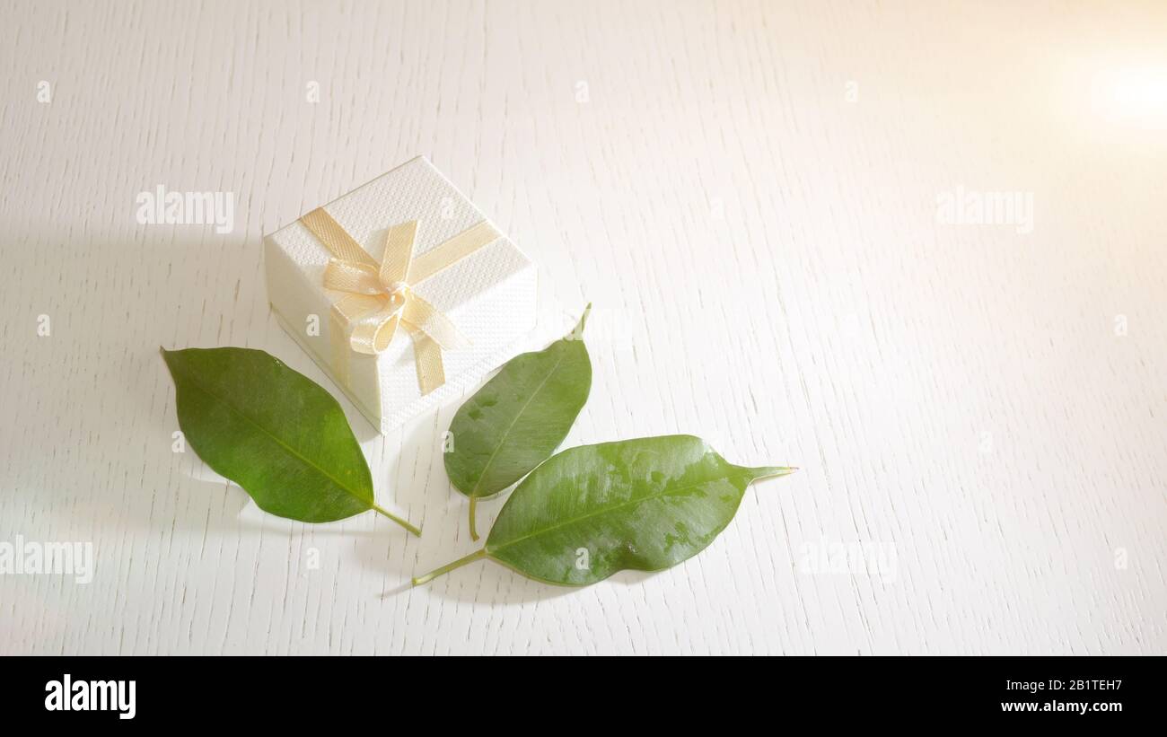 Festive packaging with a gift next to green leaves of ficus on a white ...