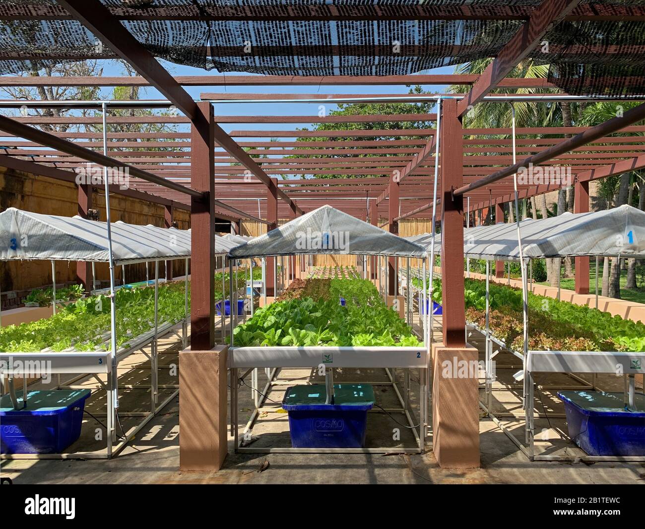 Hydrofarm at the anantara hotel for self sufficiency hi-res stock ...