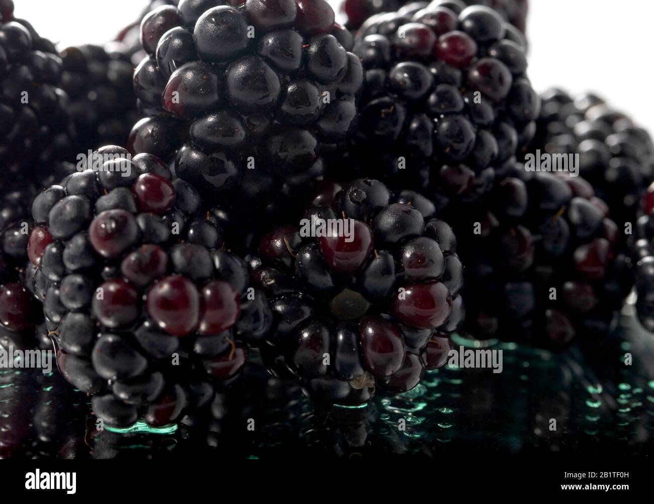 Blackberry closeup macro look isolated on white background Stock Photo ...