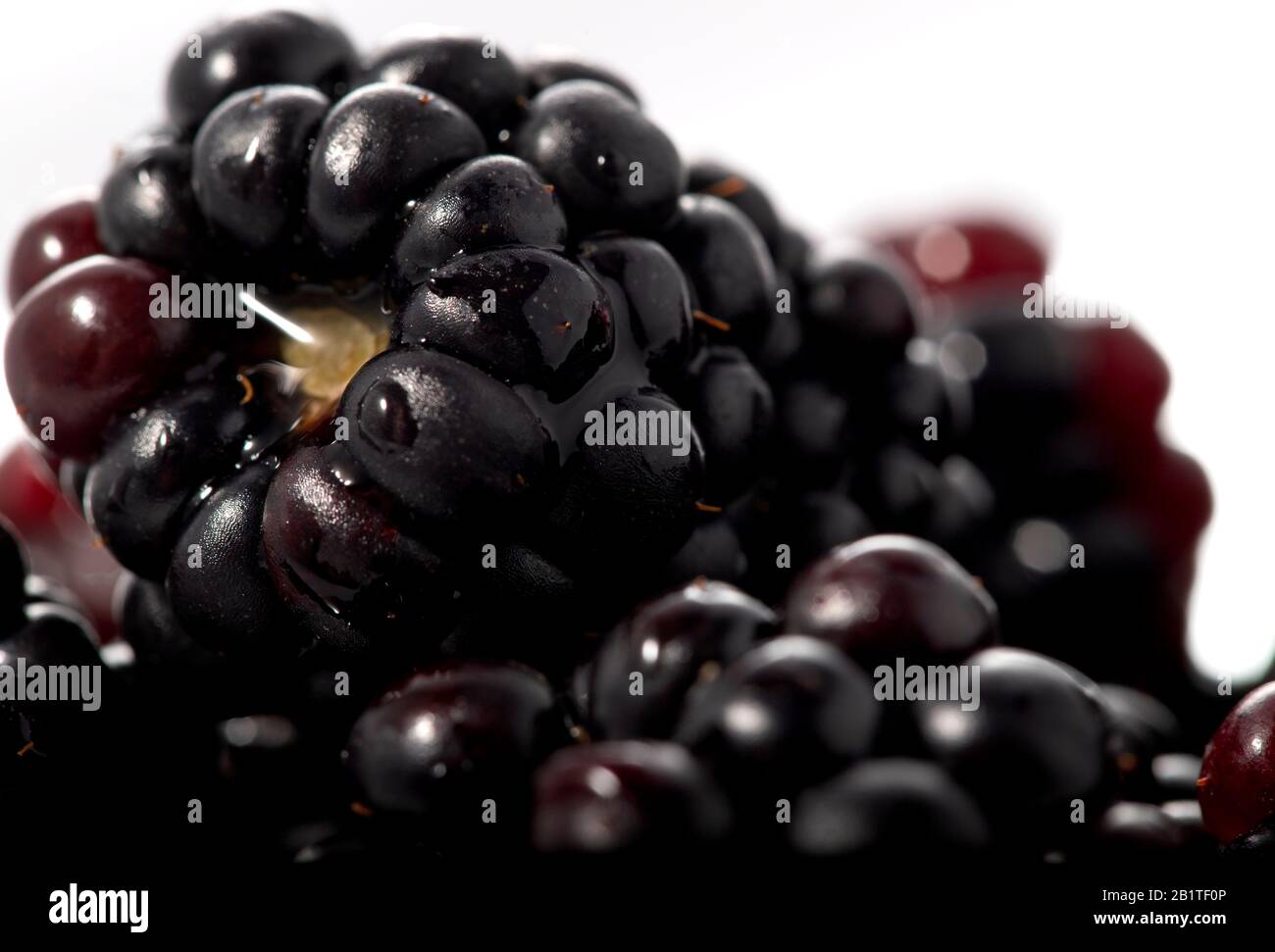 Blackberry closeup macro look isolated on white background Stock Photo ...