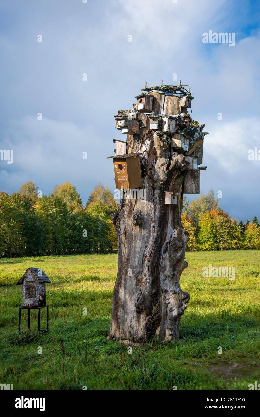 Bird boxes hi-res stock photography and images - Alamy