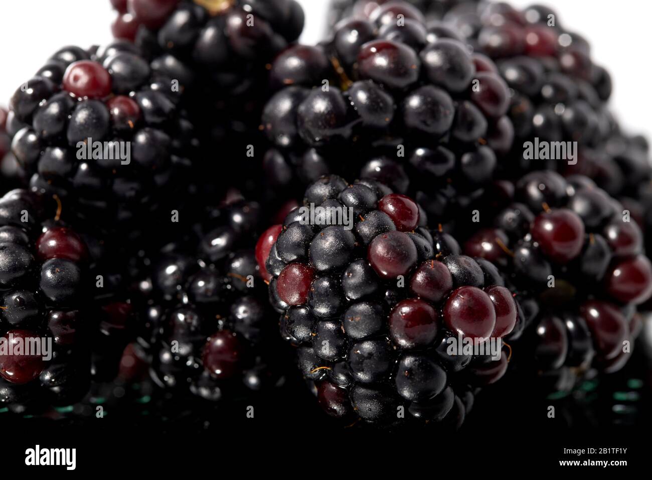 Blackberry closeup macro look isolated on white background Stock Photo ...