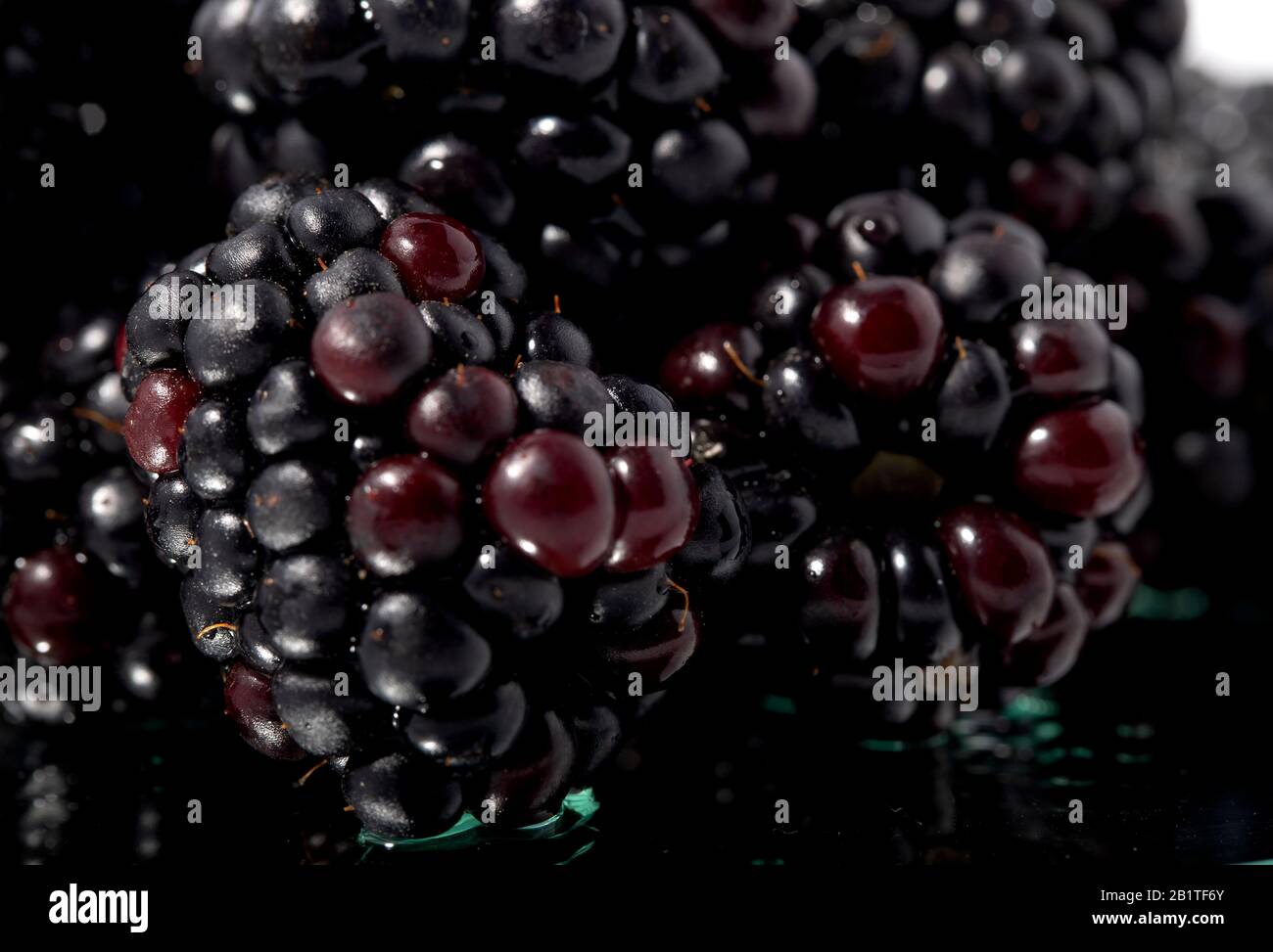 Blackberry closeup macro look isolated on white background Stock Photo ...