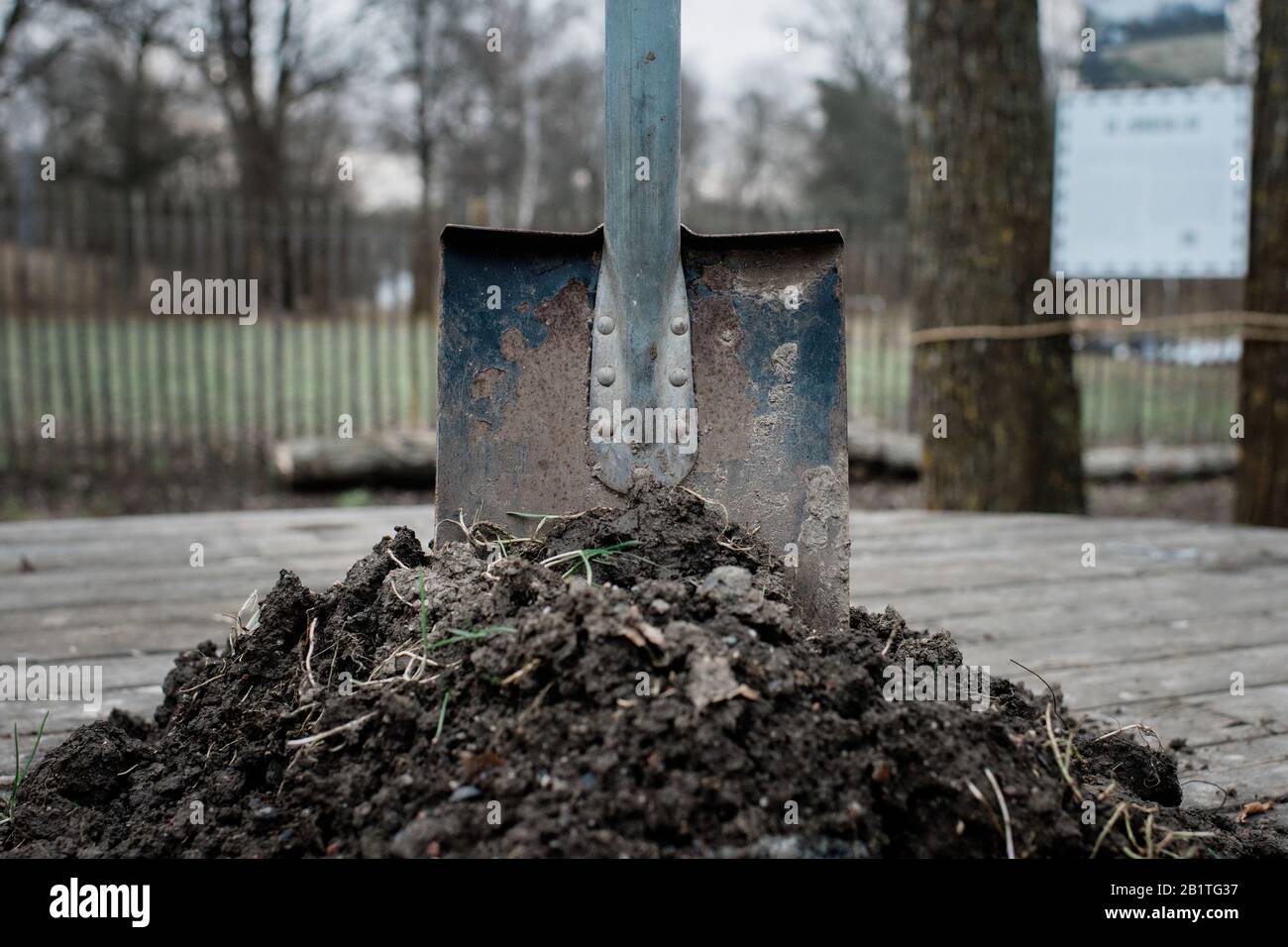 shovel, spade in a pile of mud in a garden in winter Stock Photo - Alamy
