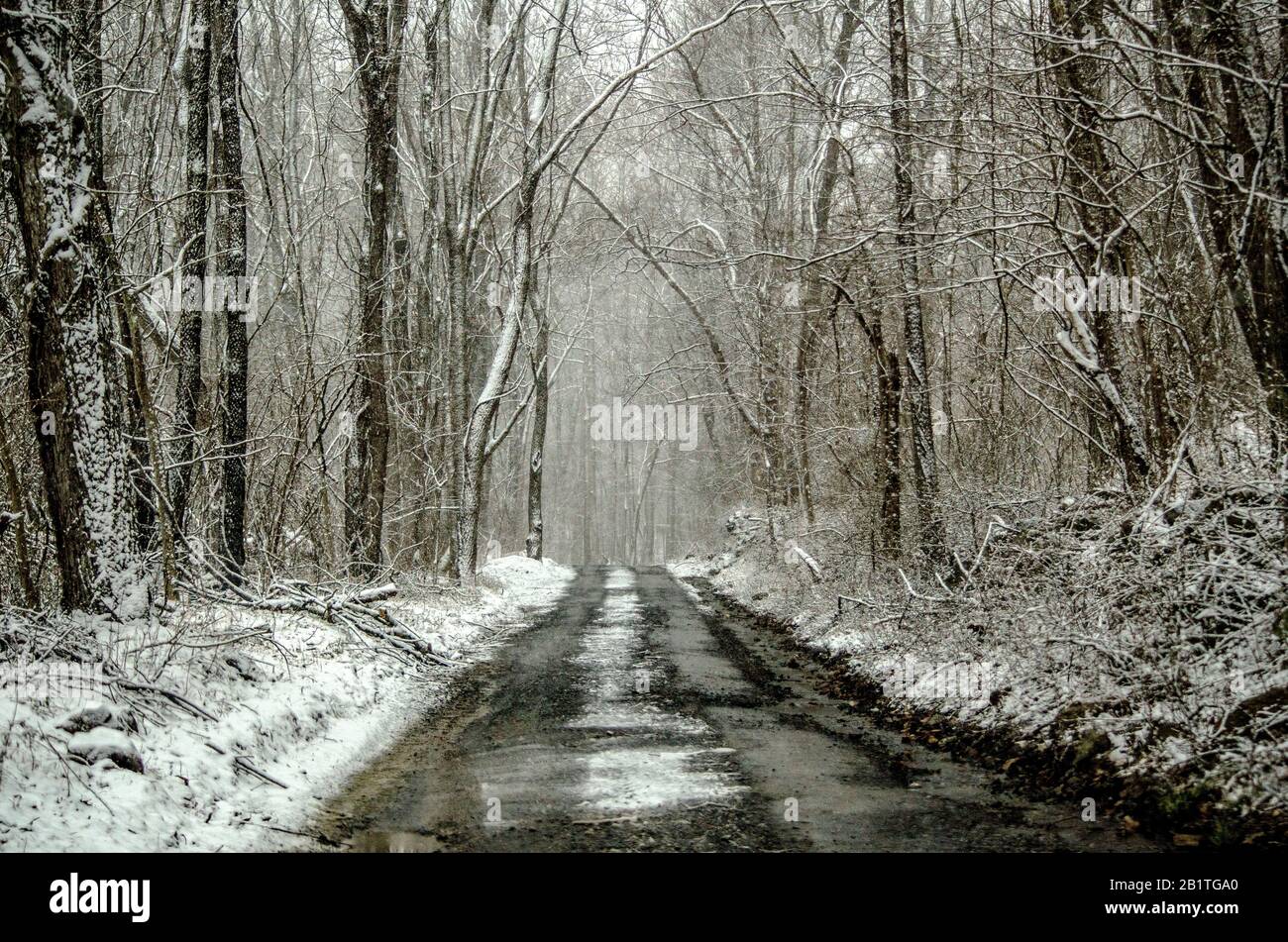A cold snowy lane in Northern Virginia Stock Photo - Alamy