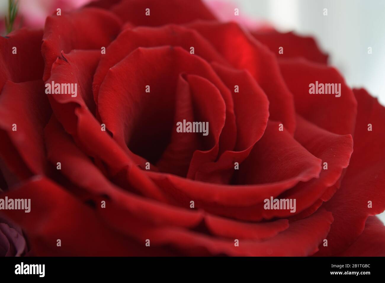 Wallpapers for desktop hi-res stock photography and images - Alamy