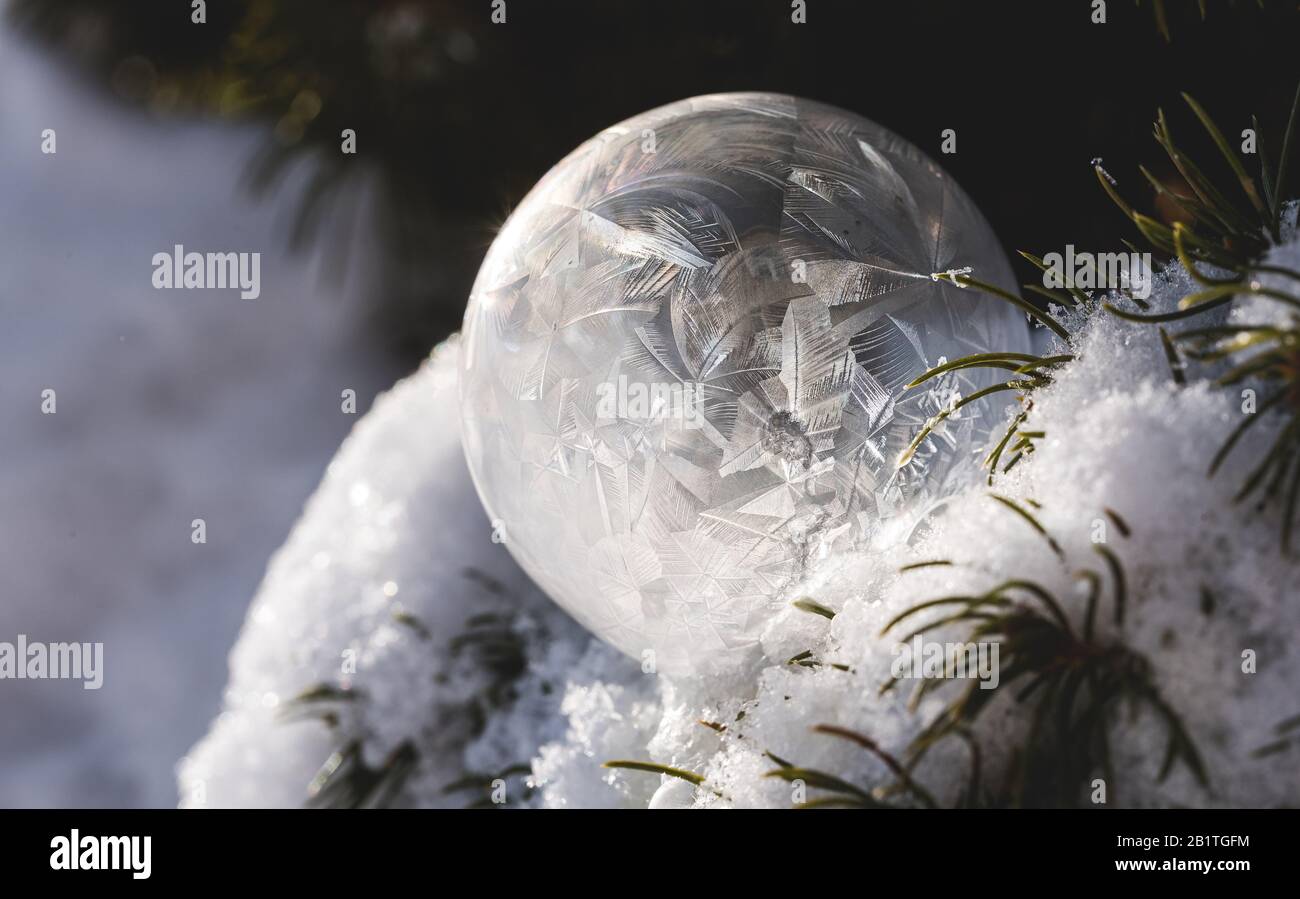 Close up frozen tree branches hi-res stock photography and images - Alamy