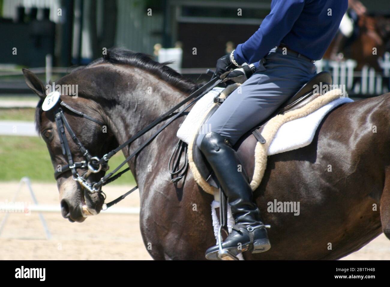 Over bent horse hi-res stock photography and images - Alamy
