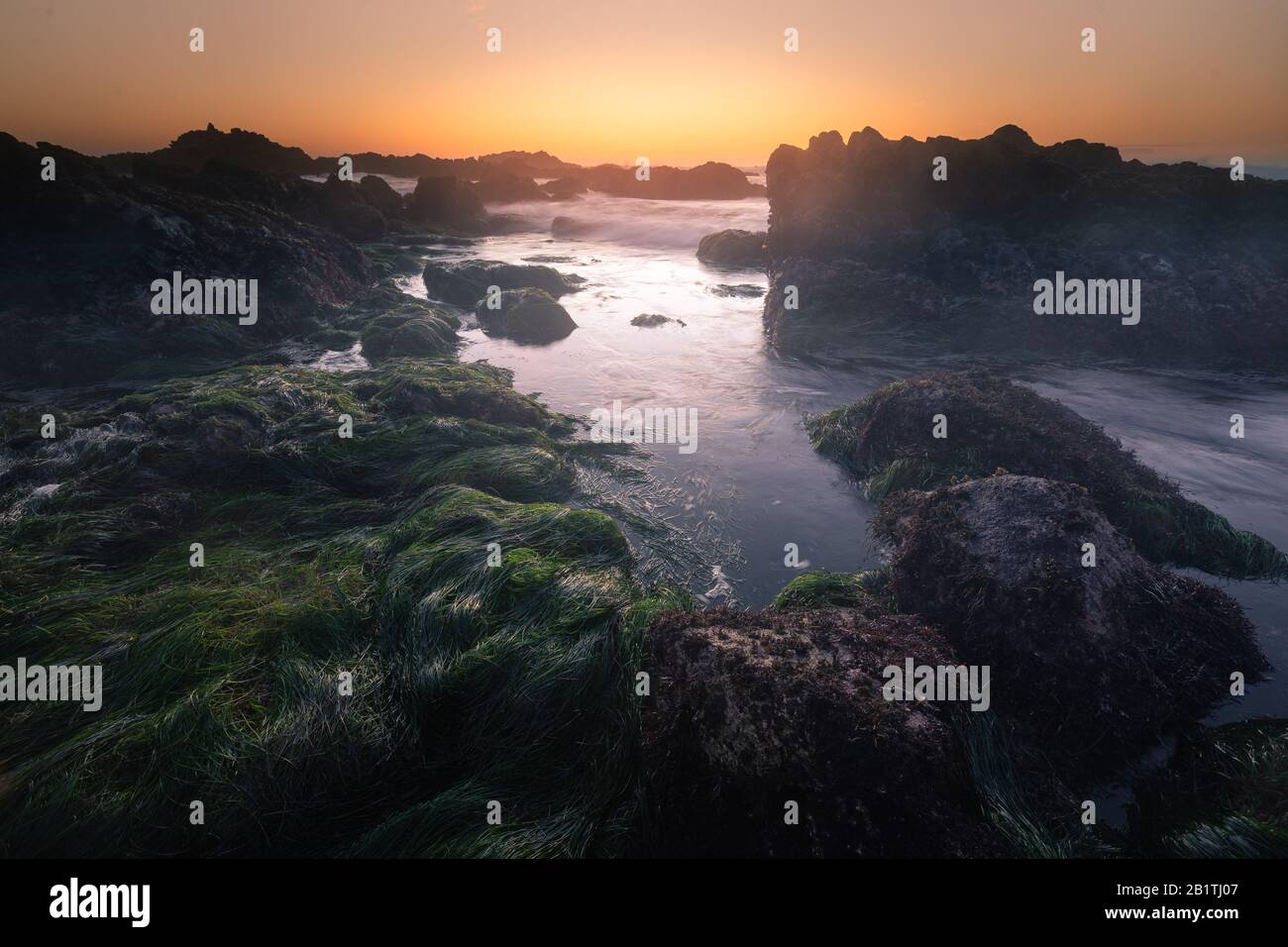 Lovers point park monterey hi-res stock photography and images - Alamy