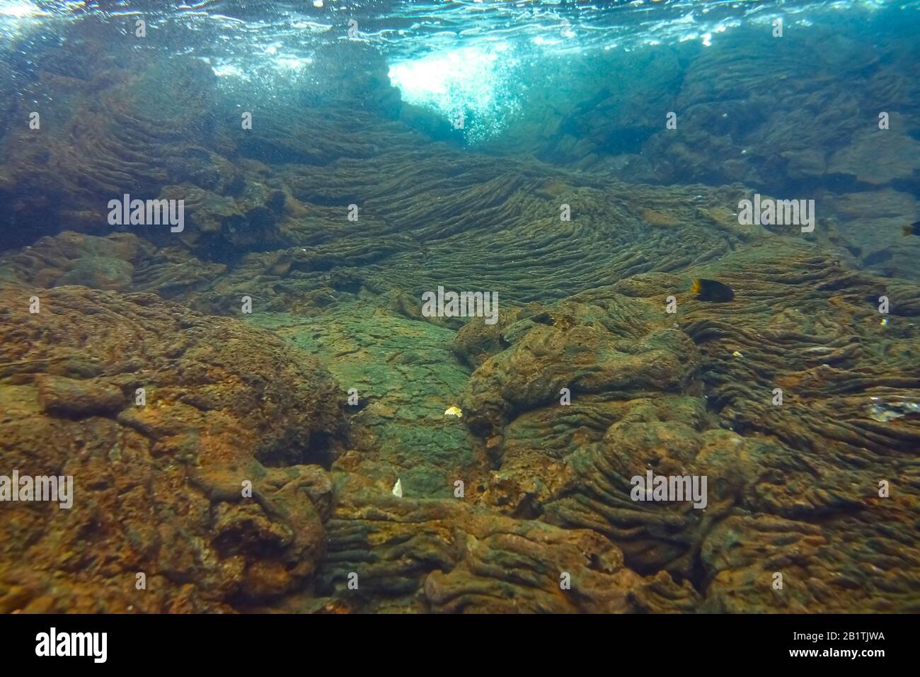 Lava flows underwater, Santiago Island, Galapagos Islands, Ecuador ...