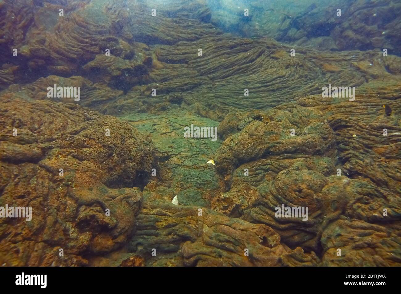 Lava flows underwater, Santiago Island, Galapagos Islands, Ecuador ...