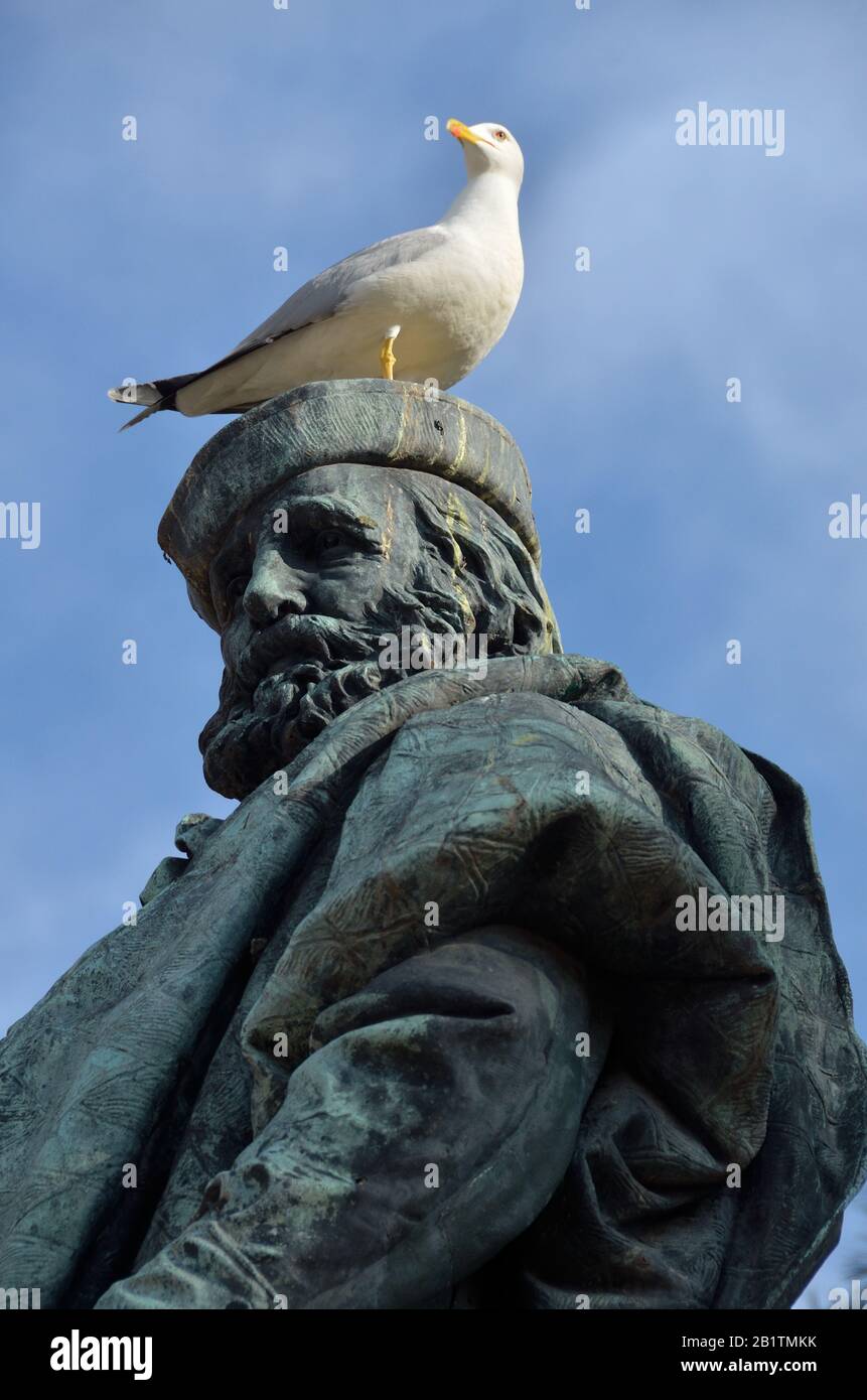 Bird at historic monument hi-res stock photography and images - Alamy