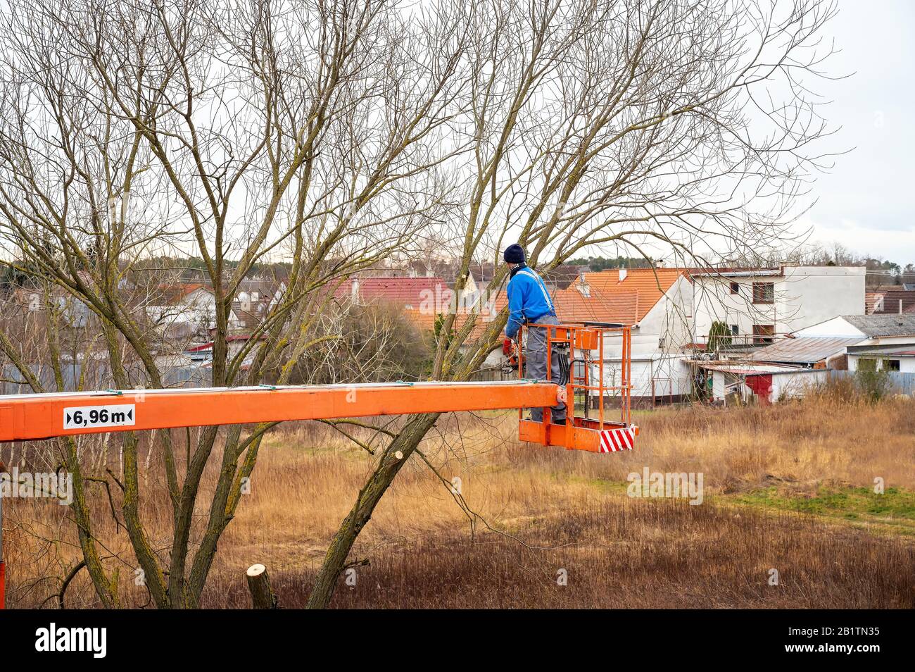 Man on aerial platform pruning branches of tree with chainsaw Stock ...
