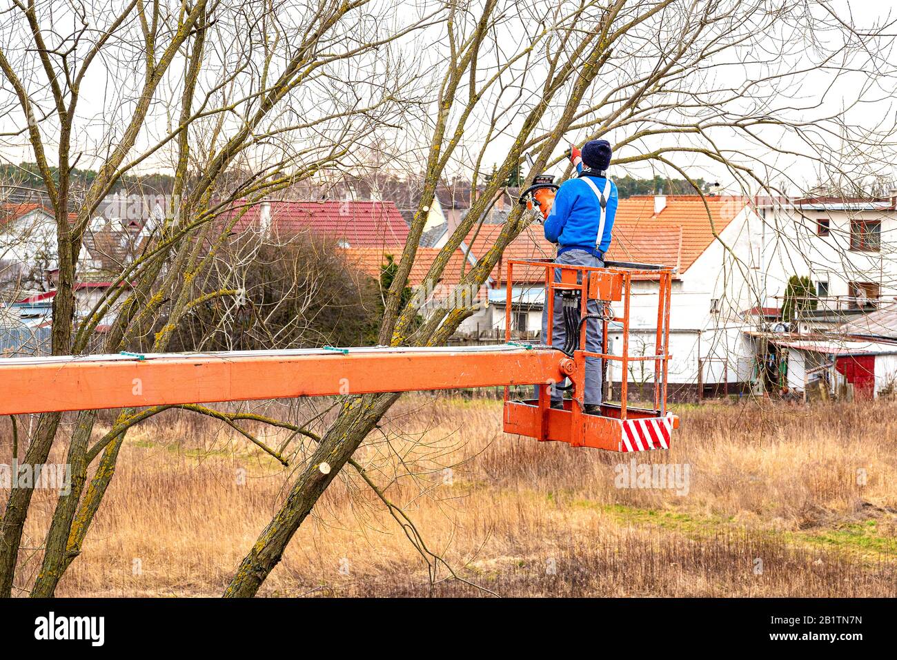 Man on aerial platform pruning branches of tree with chainsaw Stock ...