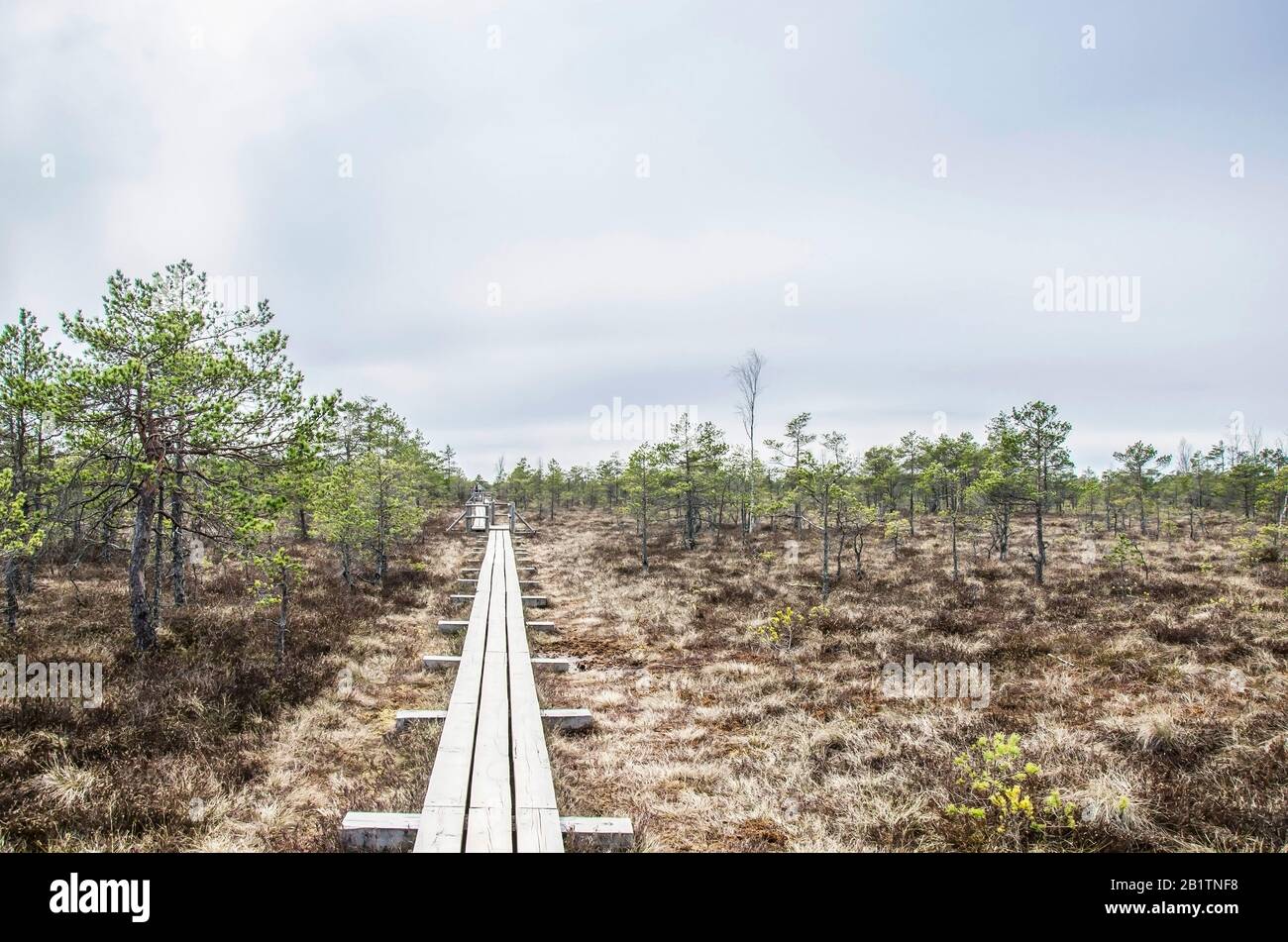 Moss ponds hi-res stock photography and images - Alamy