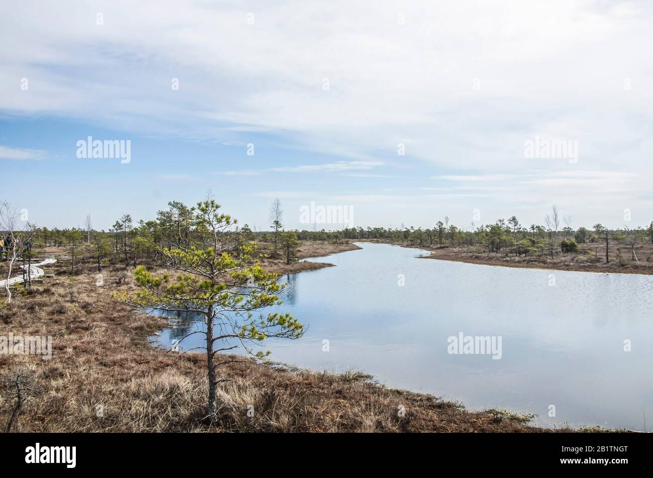 Swamp Bog Wetland Boardwalk High Resolution Stock Photography and ...
