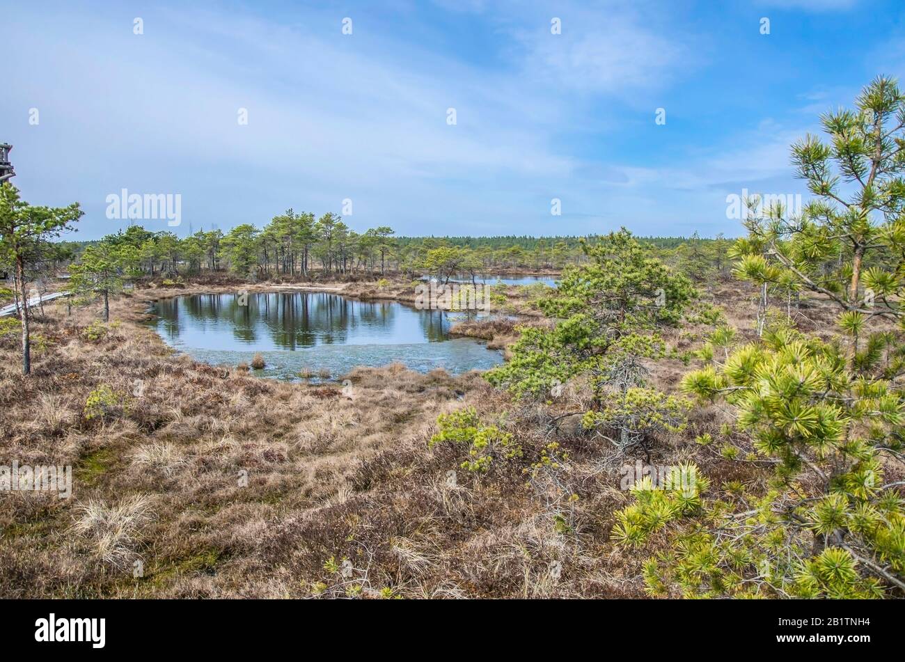 Swamp Bog Wetland Boardwalk High Resolution Stock Photography and ...