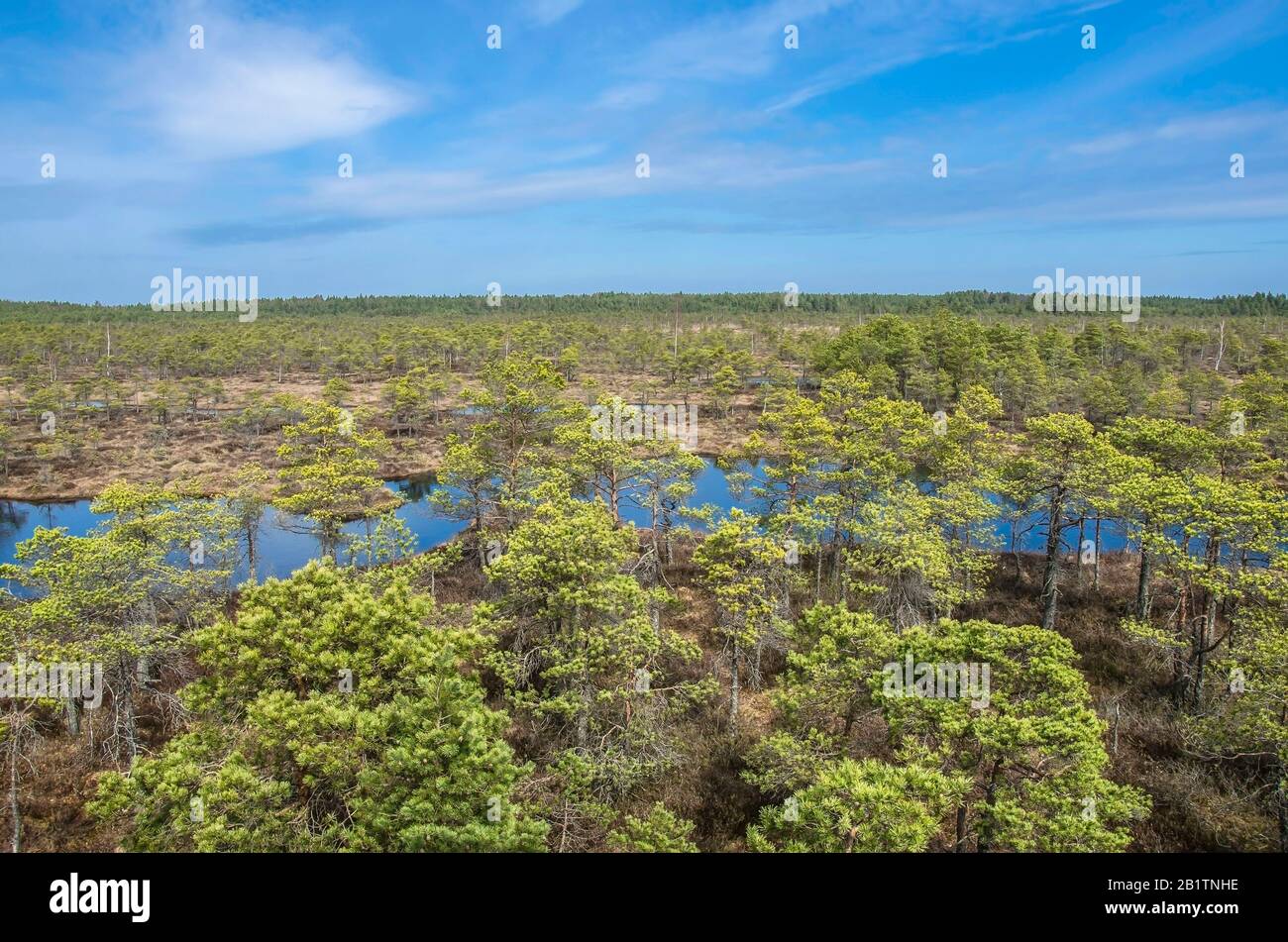 Swamp Bog Wetland Boardwalk High Resolution Stock Photography and ...