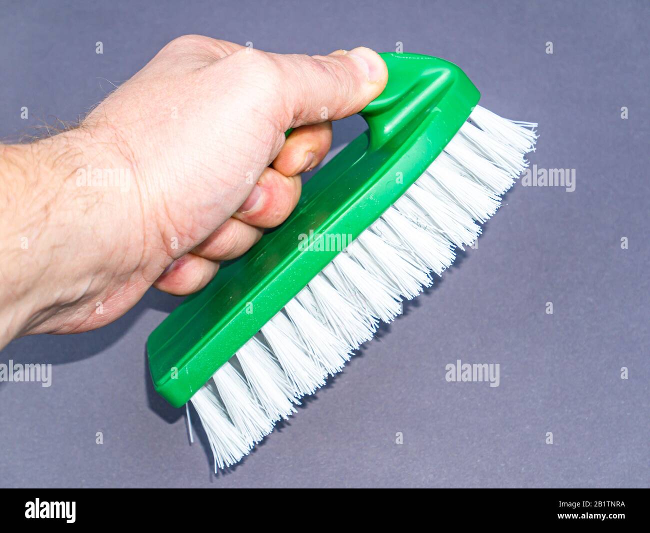 Iron bristles hi-res stock photography and images - Alamy