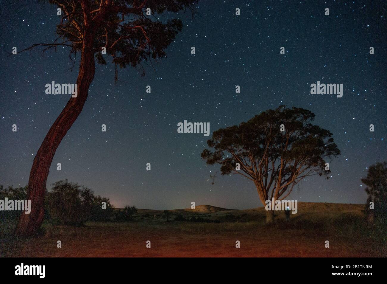 Romantic landscape under stars night sky Stock Photo - Alamy