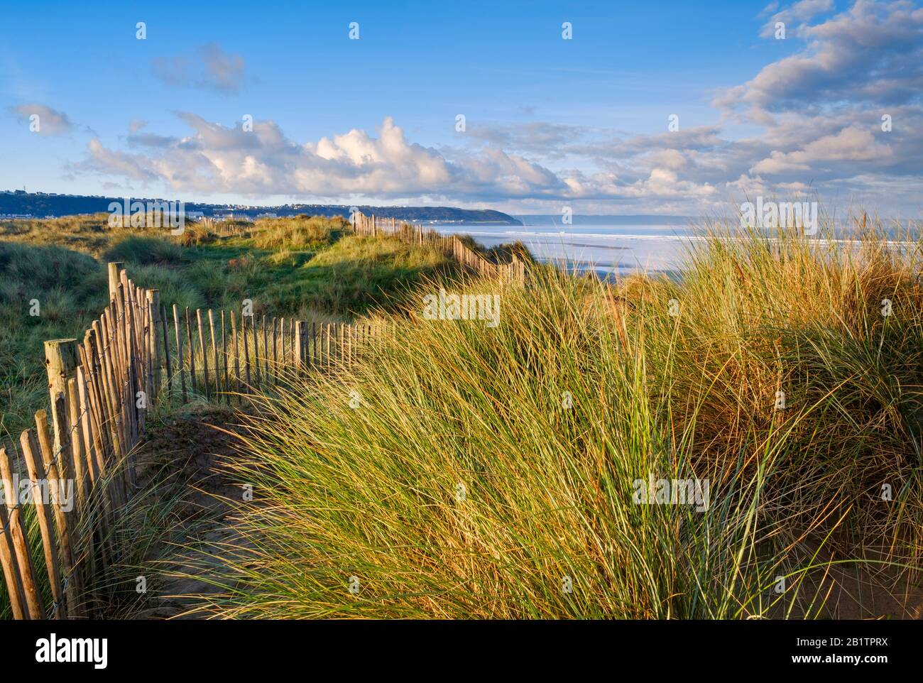 Northam burrows country part hi-res stock photography and images - Alamy