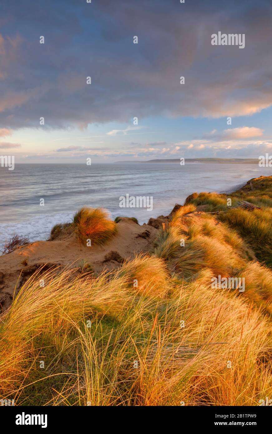 Sand dunes on the edge of Westward Ho! Beach, part of the North Devon ...