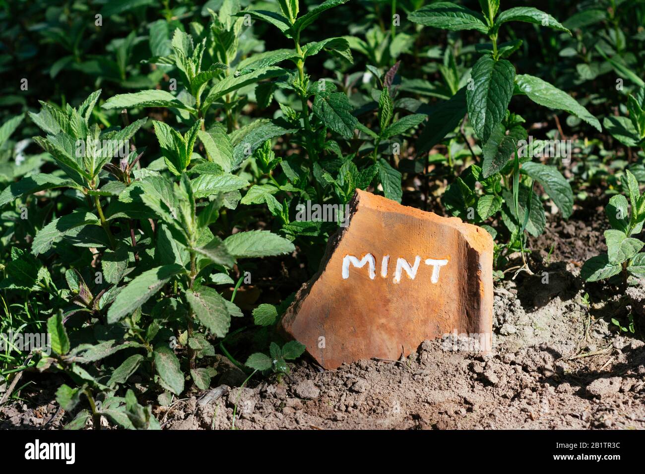Terracotta sign hi-res stock photography and images - Alamy