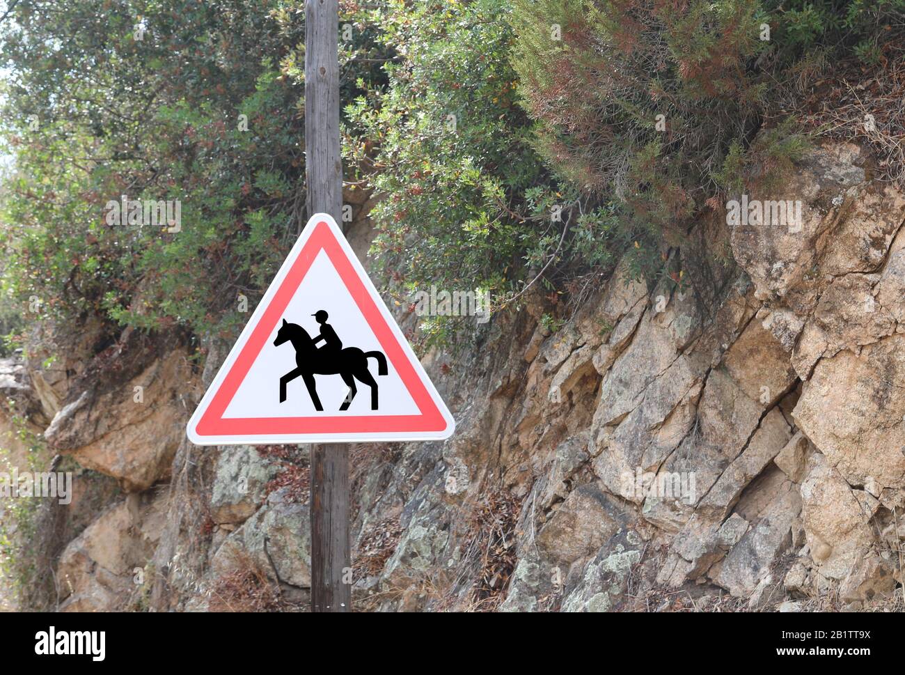 road sign with the symbol attention to the crossing of horses near an ...