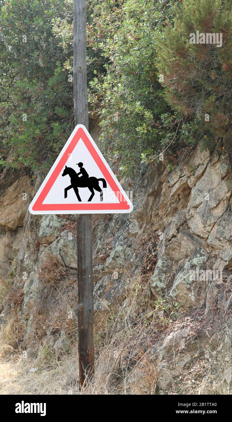 road sign with the symbol attention to the crossing of horses near a ...