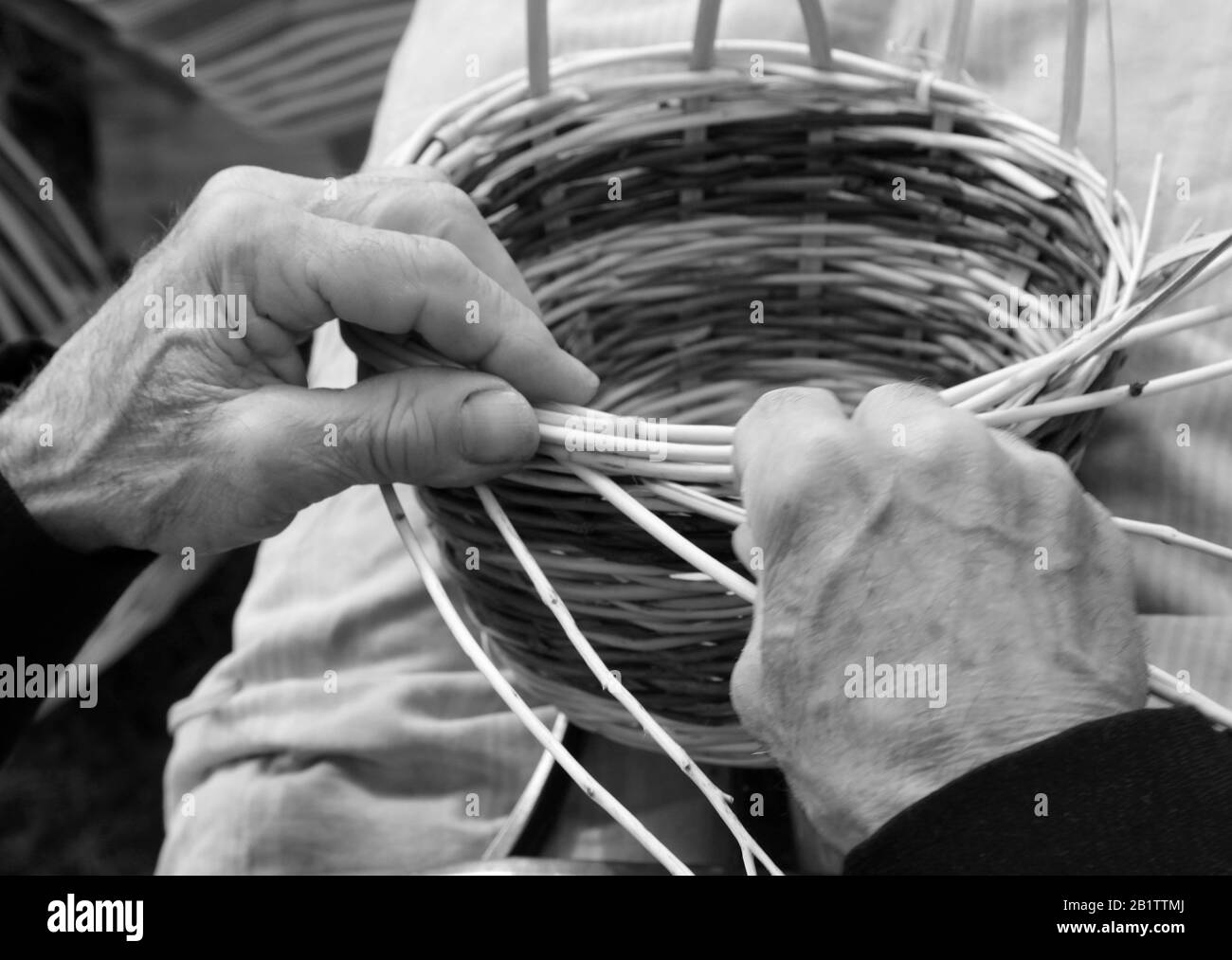 hands of the senior craftsman while creating a wicker basket with black ...