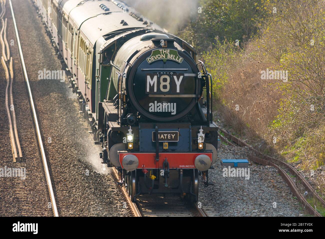 Devon belle hi-res stock photography and images - Alamy