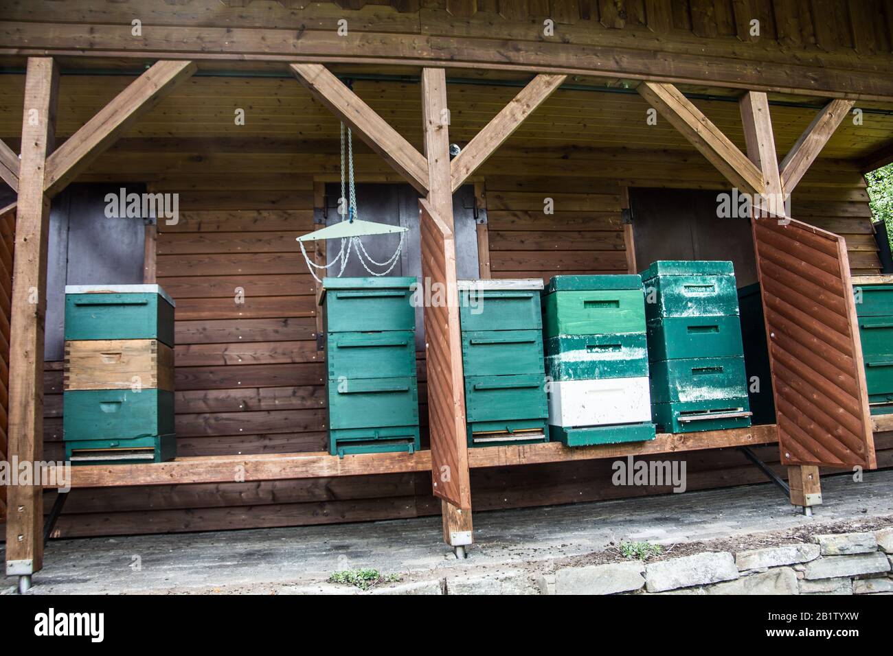 colorful wooden beehives in apiary Stock Photo - Alamy