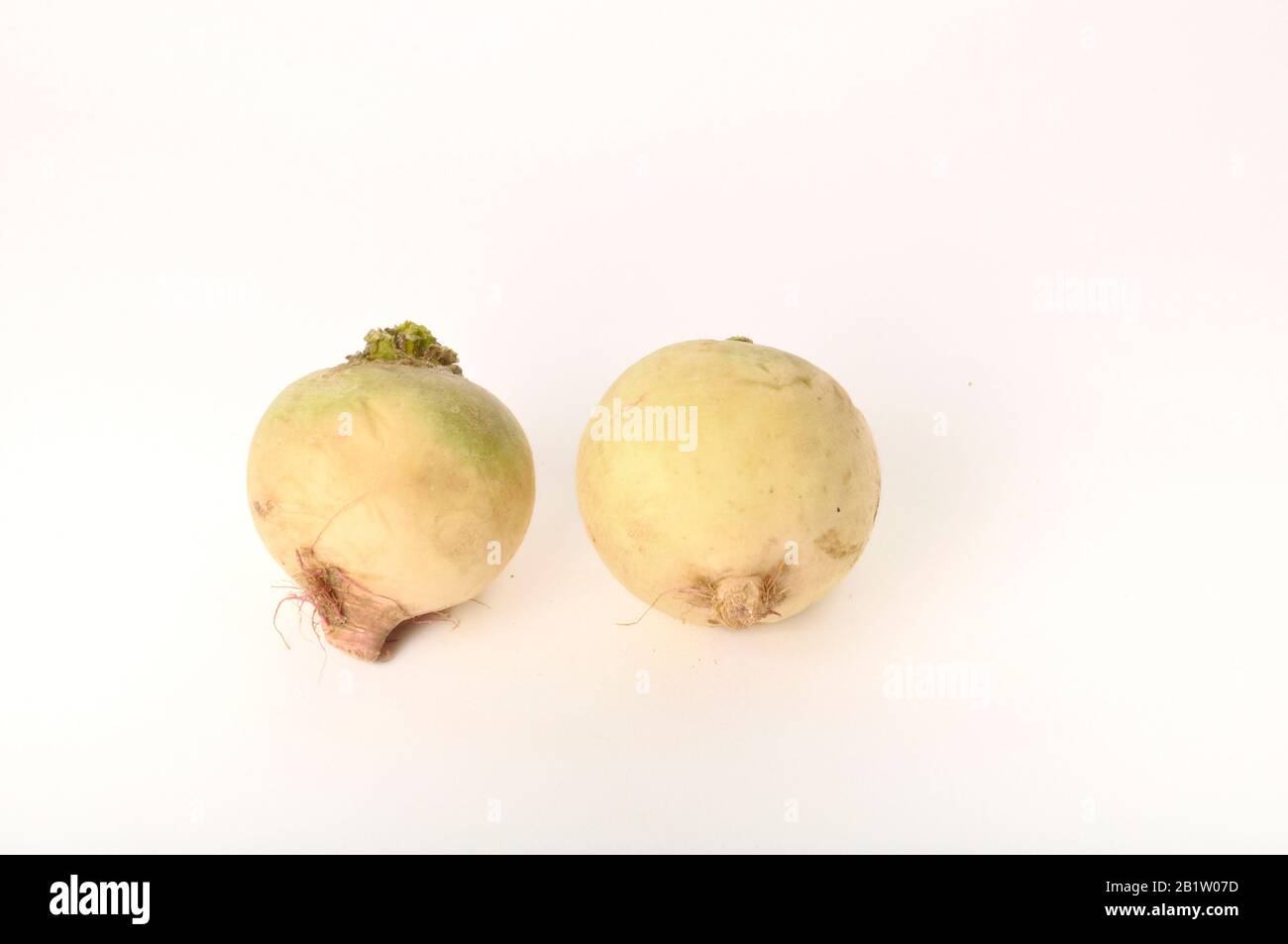 Radish red meat on white background Stock Photo - Alamy