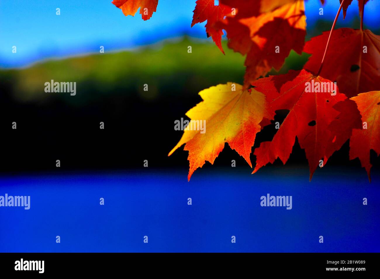 Autumn in Vermont Stock Photo - Alamy