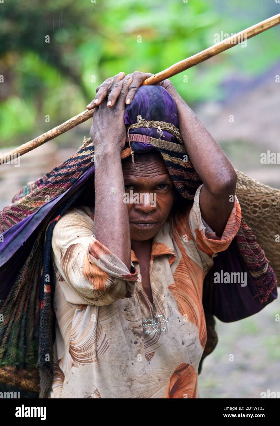 Papua woman from Dani tribe carrying head load - Baliem Valley ...