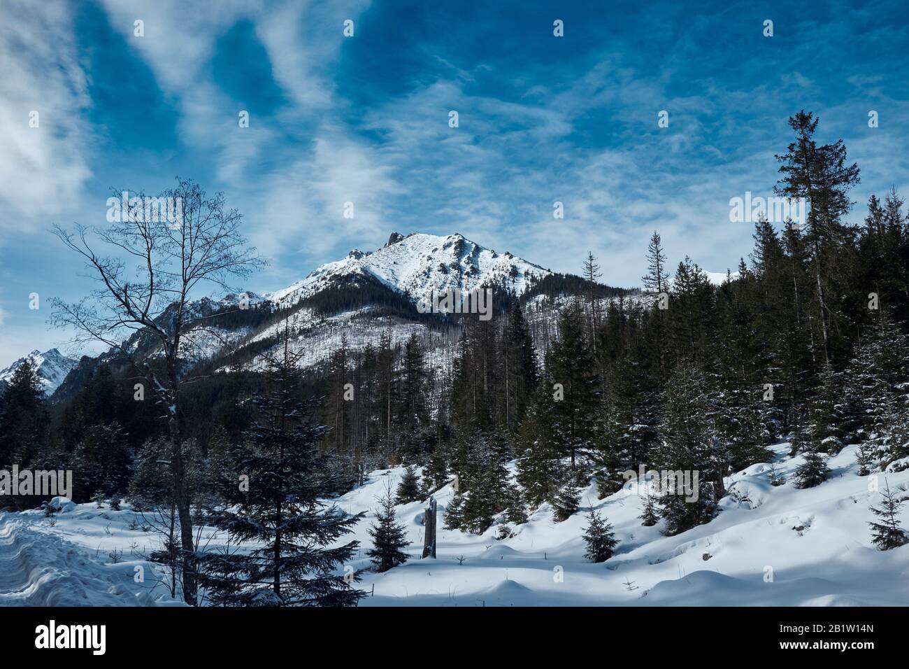 trekking in the Tatra mountain peak covered by snow Stock Photo - Alamy