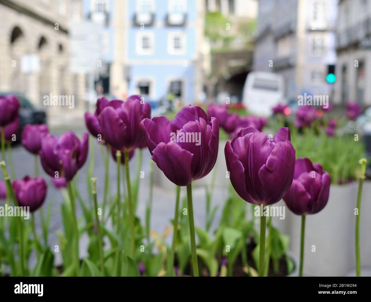 Sense of smell city hi-res stock photography and images - Alamy
