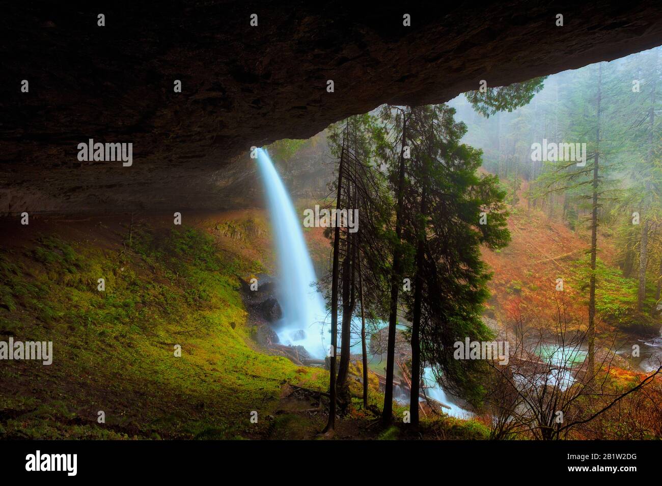 Behind North Falls at Silver Falls State Park near Silverton, Oregon ...