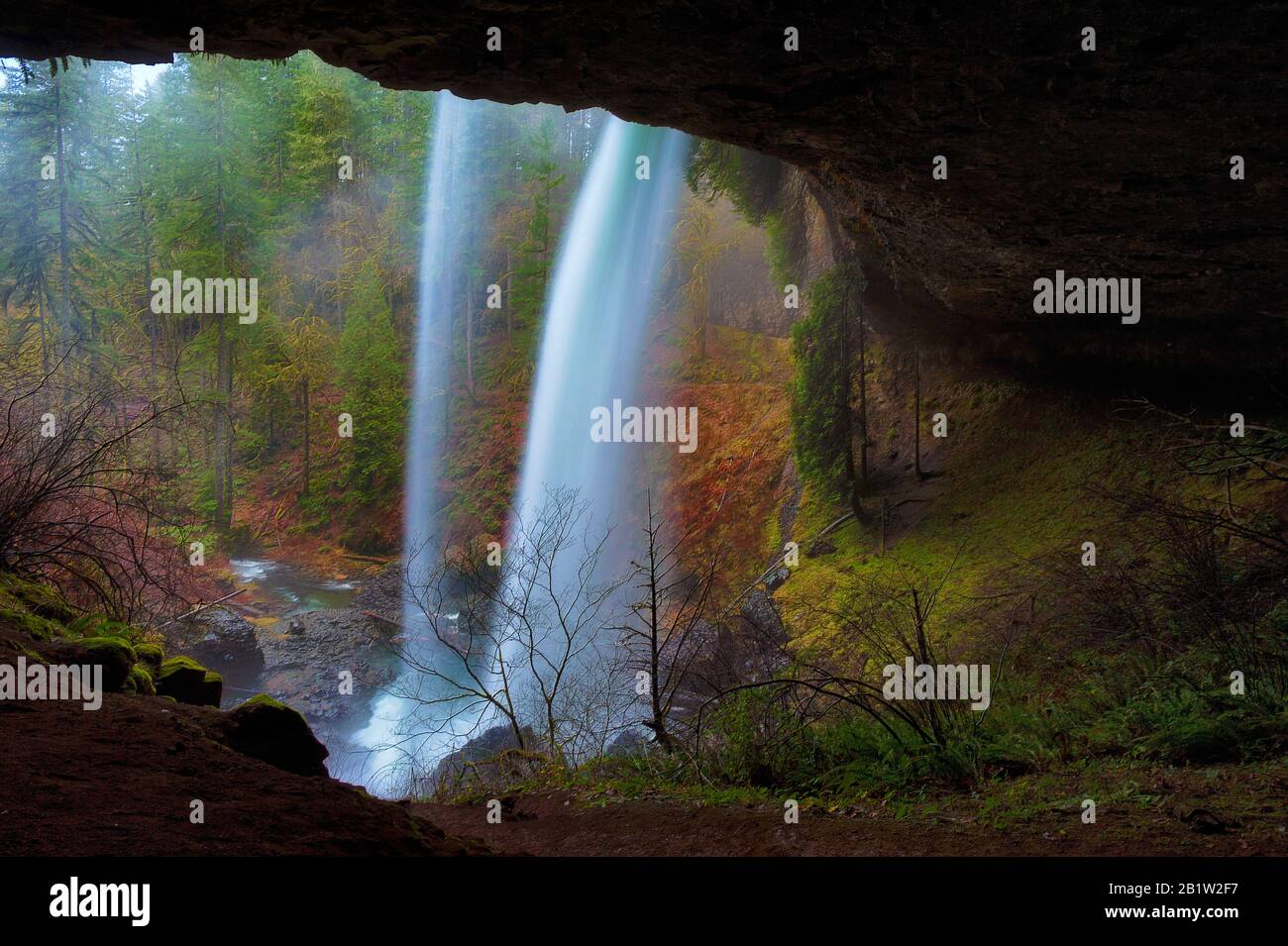 Behind North Falls at Silver Falls State Park near Silverton, Oregon ...