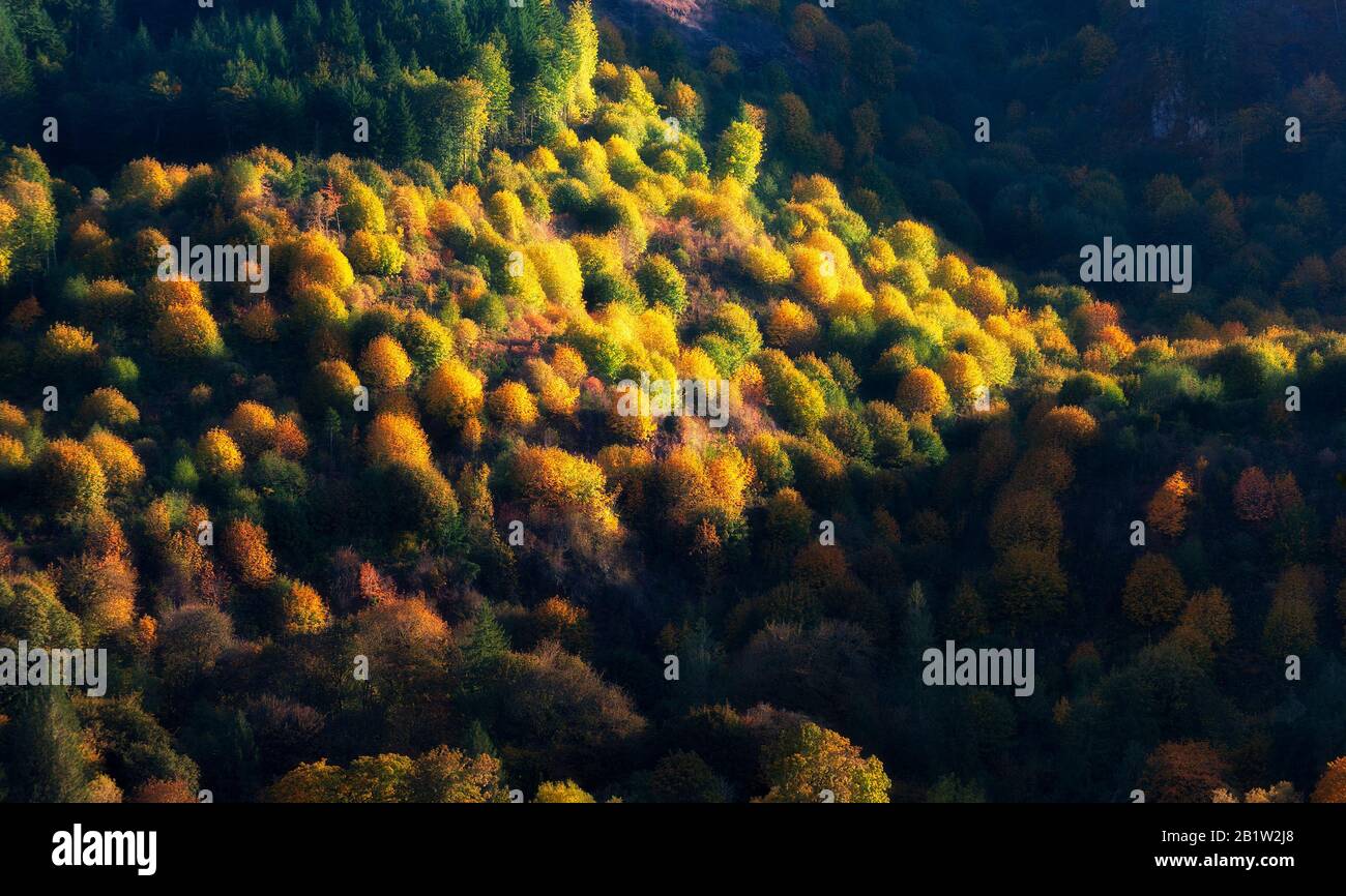 Fall colors decorate the hills near Eugene Oregon Stock Photo - Alamy