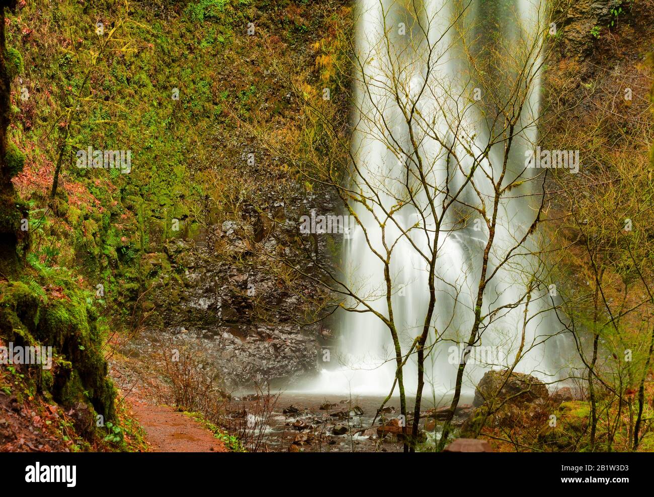 Double falls in Oregon's Silver Falls State Park Stock Photo - Alamy