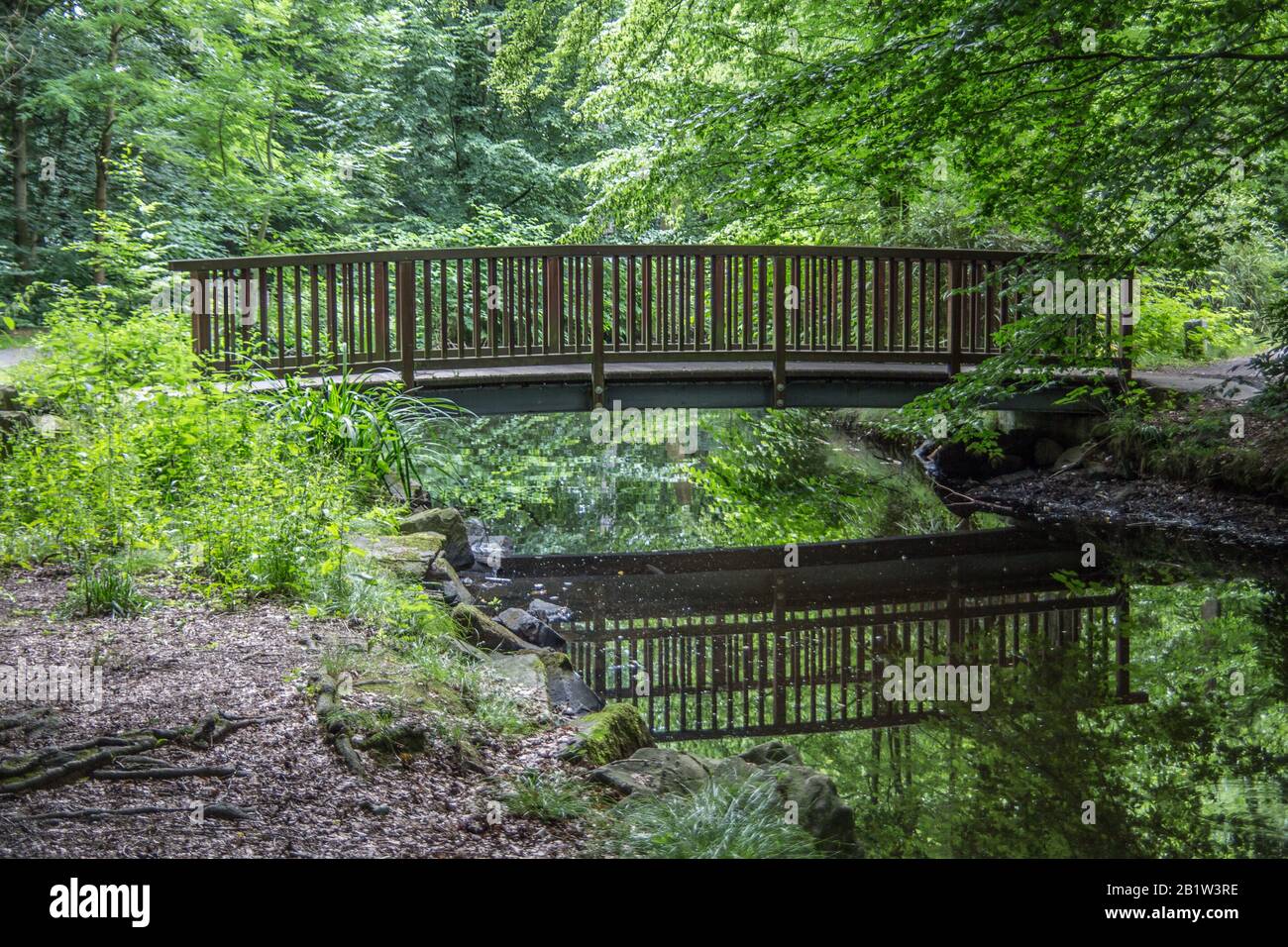 Wooden bridge over stream in the forest Stock Photo - Alamy