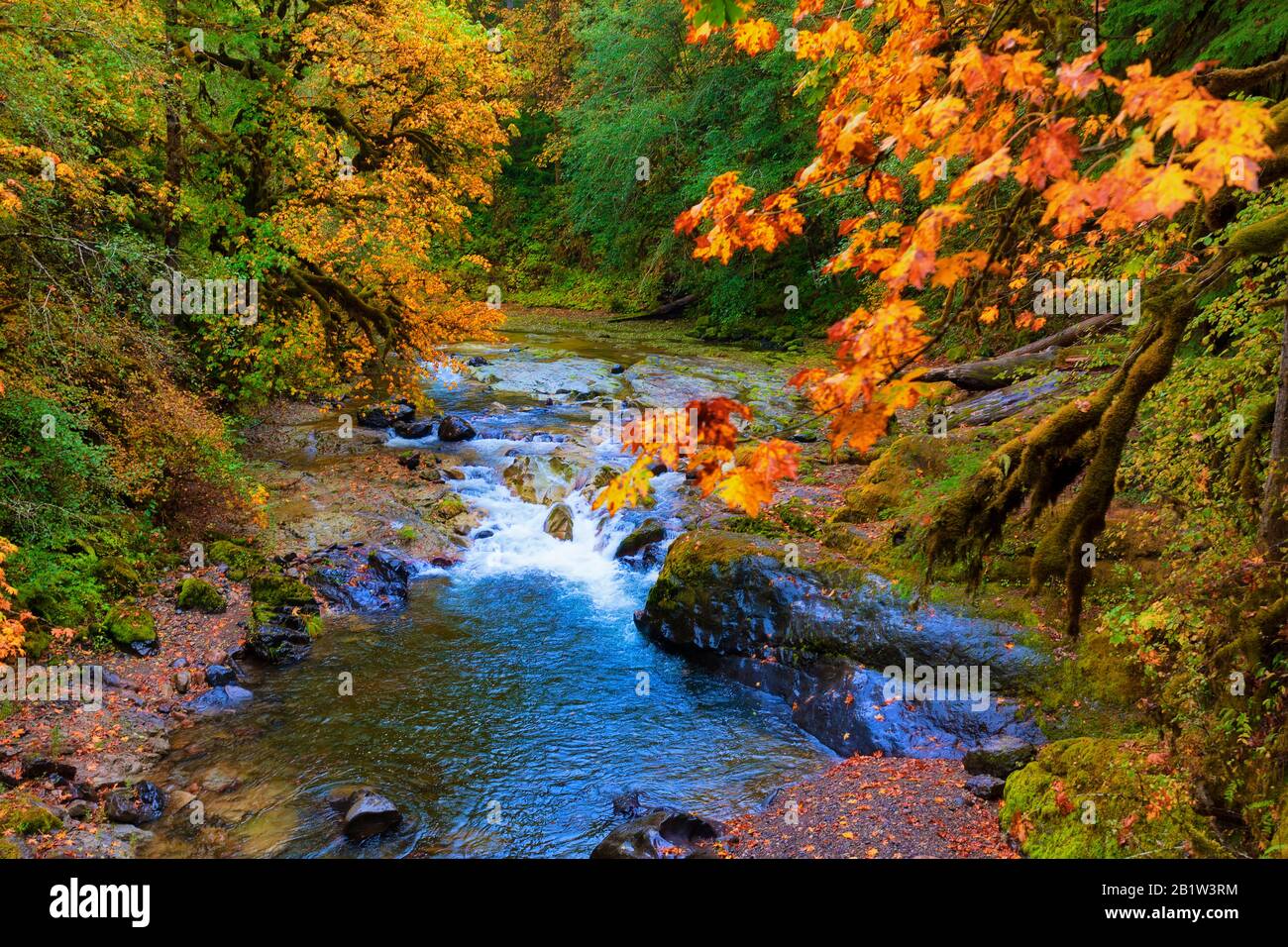 Mckenzie santiam pass scenic byway hi-res stock photography and images ...