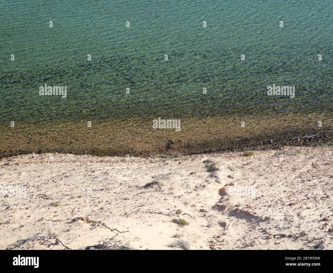 Eagle bluff australia hi-res stock photography and images - Alamy