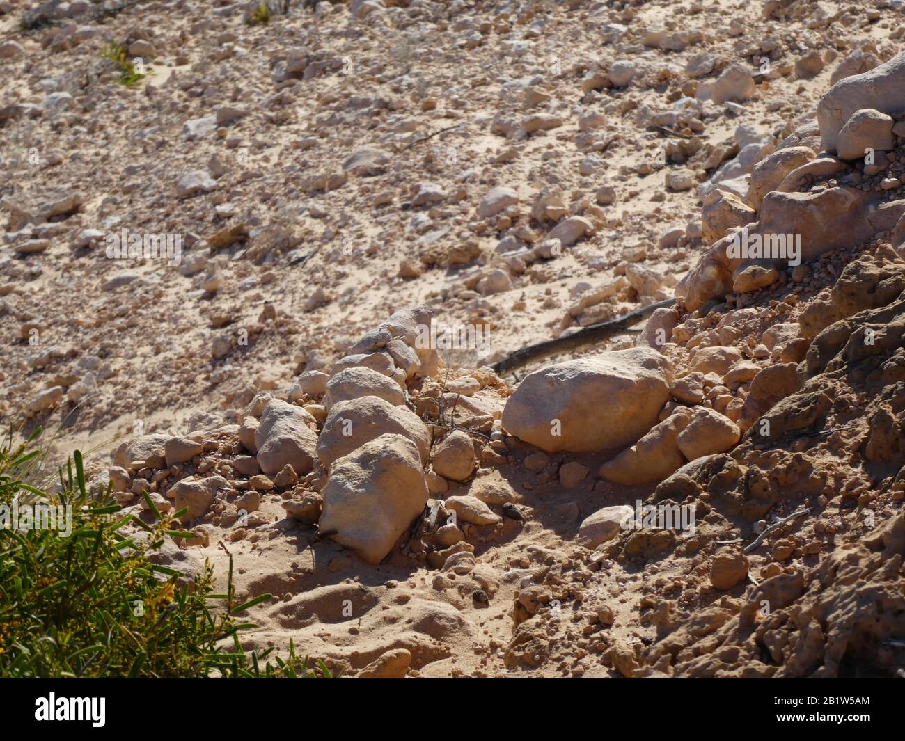 Eagle bluff wa hi-res stock photography and images - Alamy