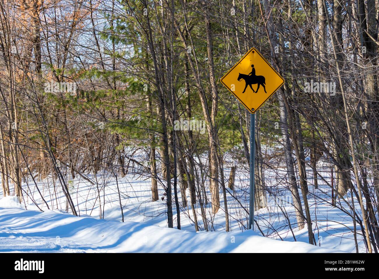 Pictograph horse hi-res stock photography and images - Alamy