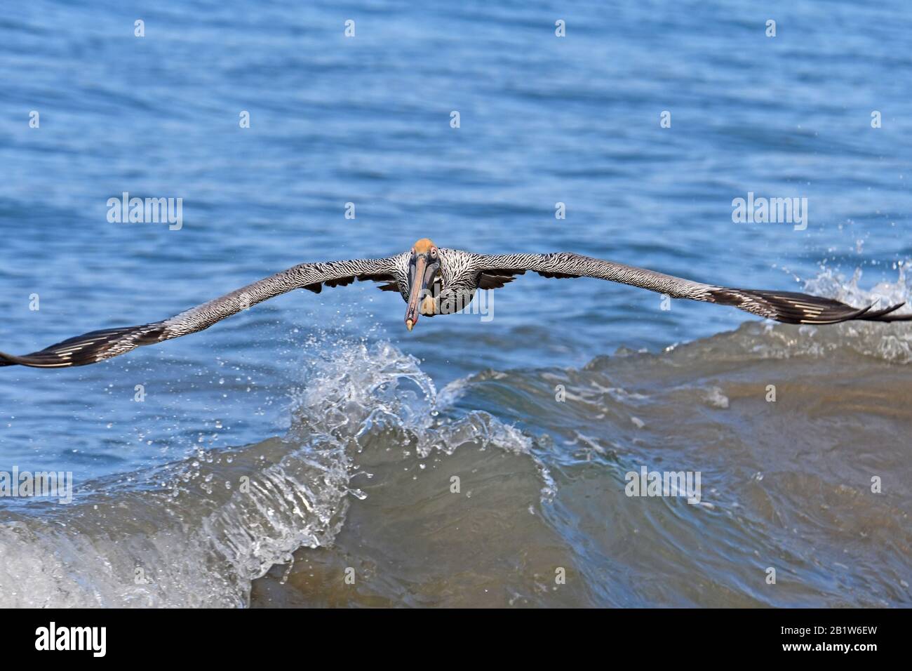 Ocean brown hi-res stock photography and images - Alamy